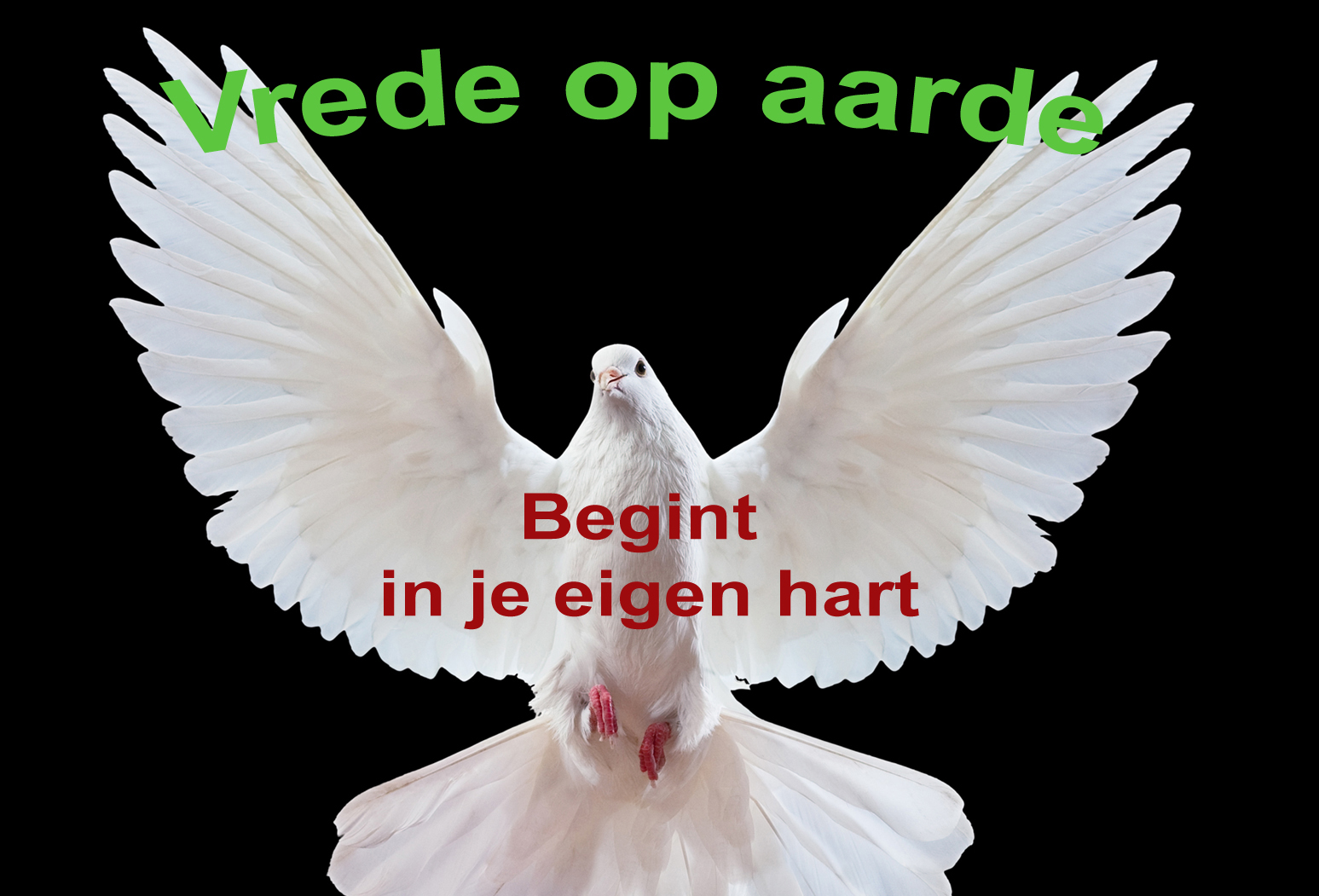 Vrede op aarde... - Wijwereld Vrede op aarde... - Wijwereld